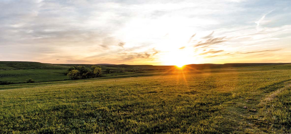 Rehab rocks: Beautiful end-of-life